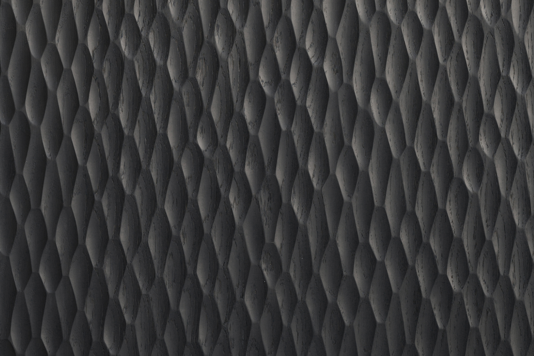 WA-22-YL5 Fish Scale 1